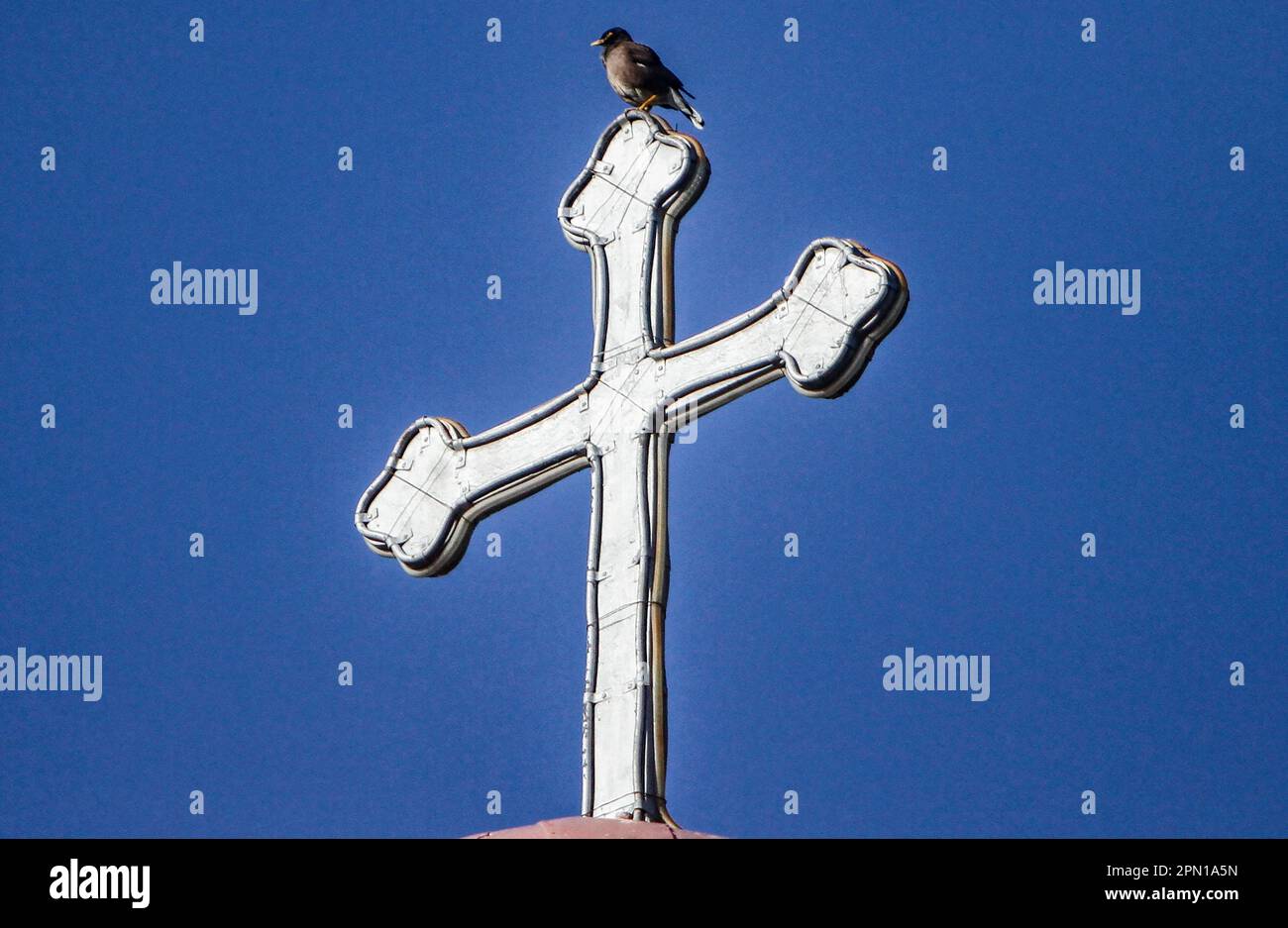 Nablus, Palestine. 15th Apr, 2023. A bird stands on a cross over the ...