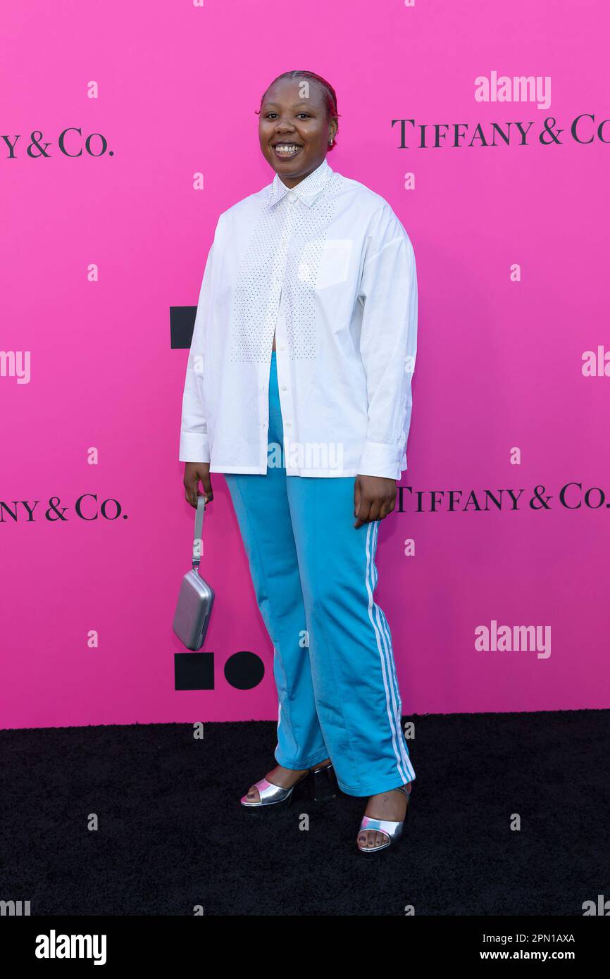 The moca gala 2023 hi-res stock photography and images - Alamy