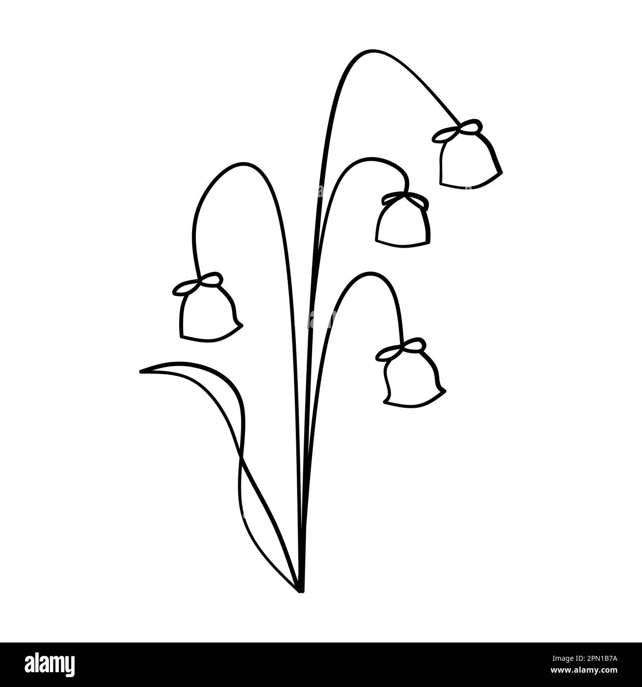 Cute flower botanical floral vector illustration outline hand drawn ...