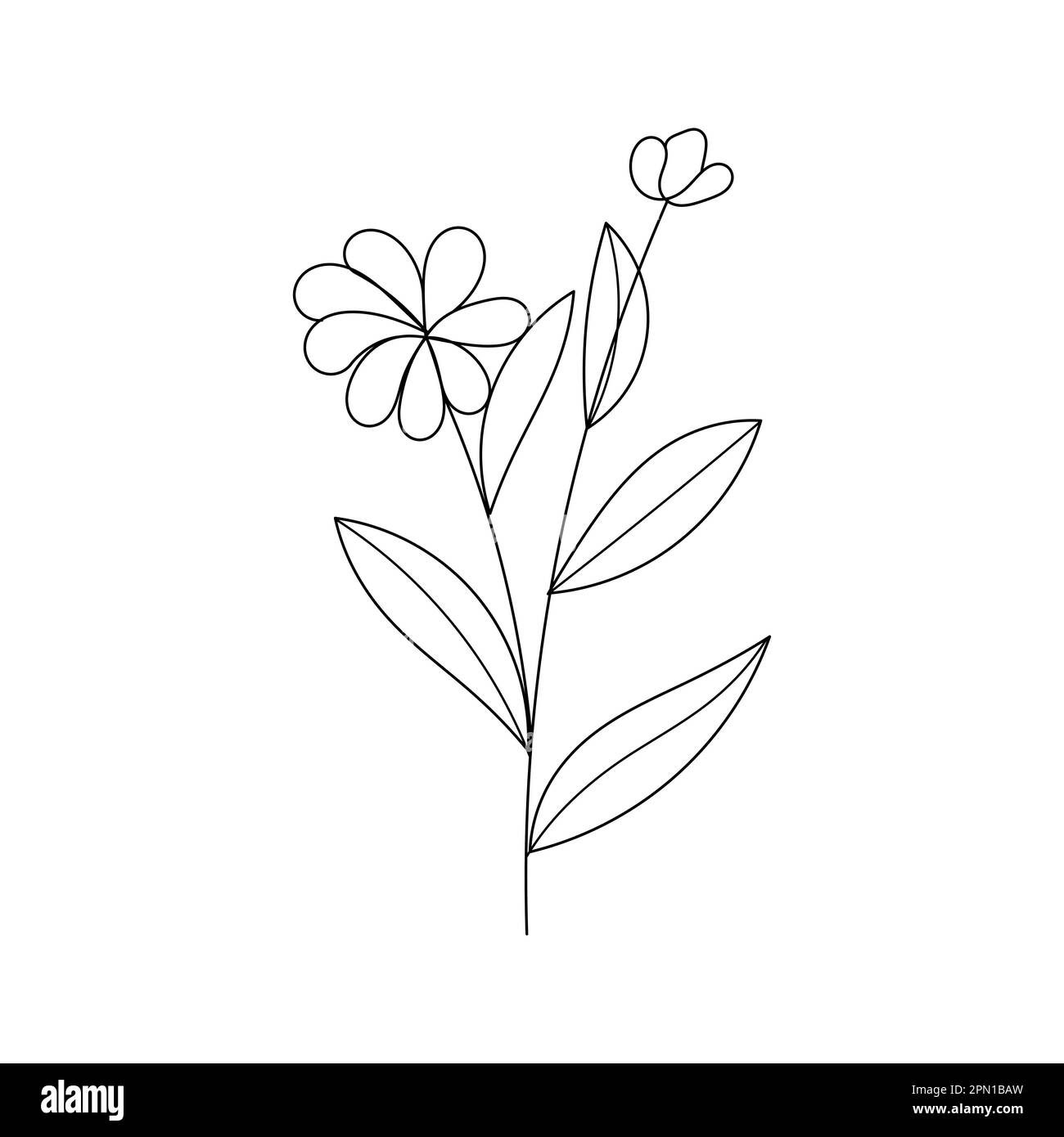 Cute flower botanical floral vector illustration outline hand drawn ...