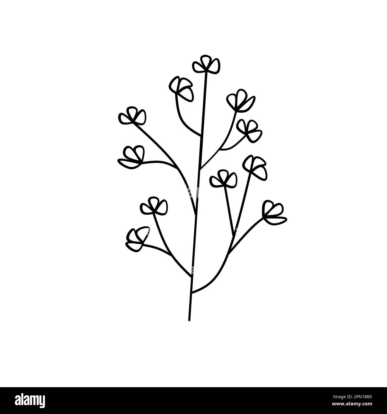 Cute flower botanical floral vector illustration outline hand drawn ...