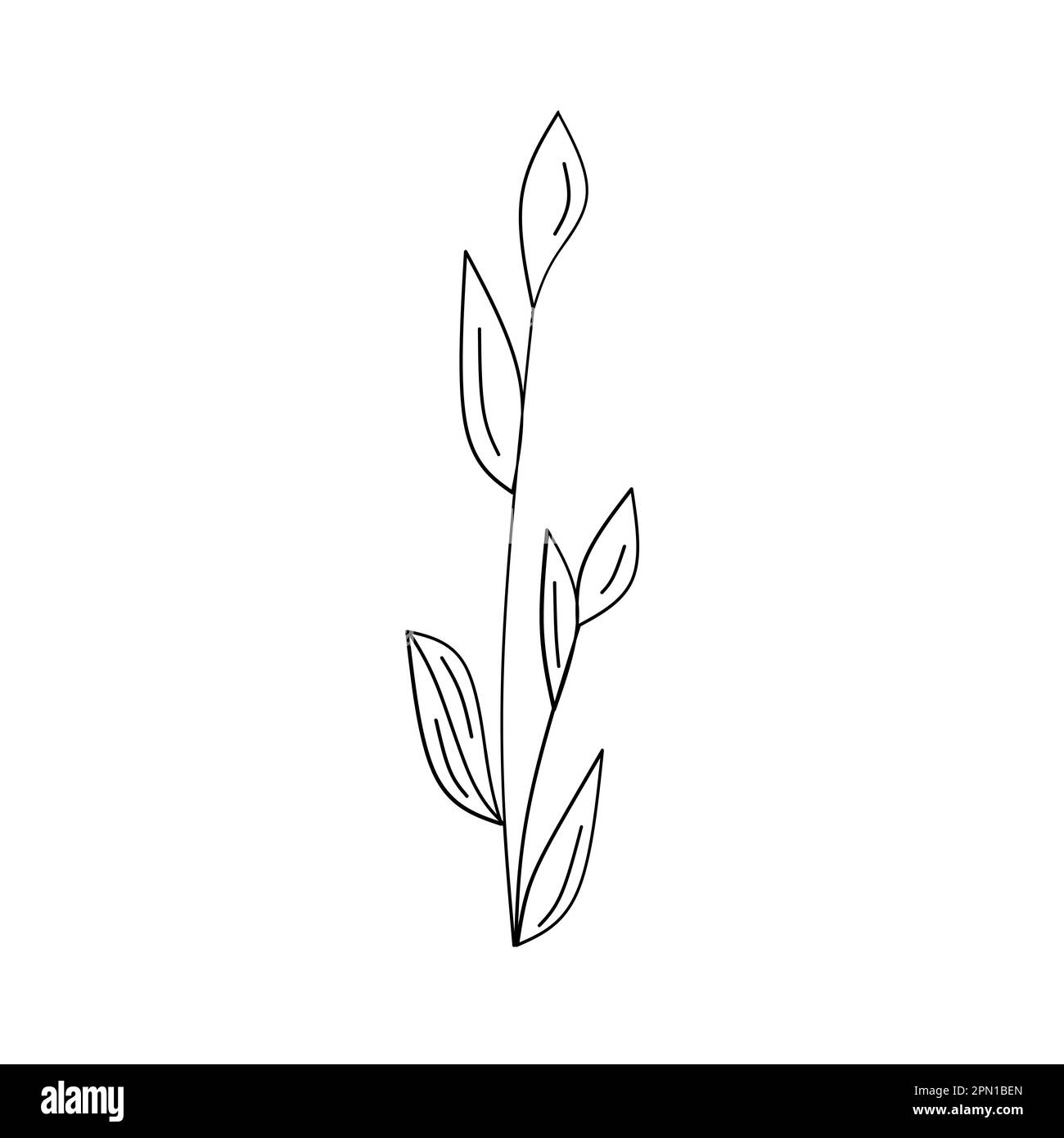 Cute flower botanical floral vector illustration outline hand drawn ...