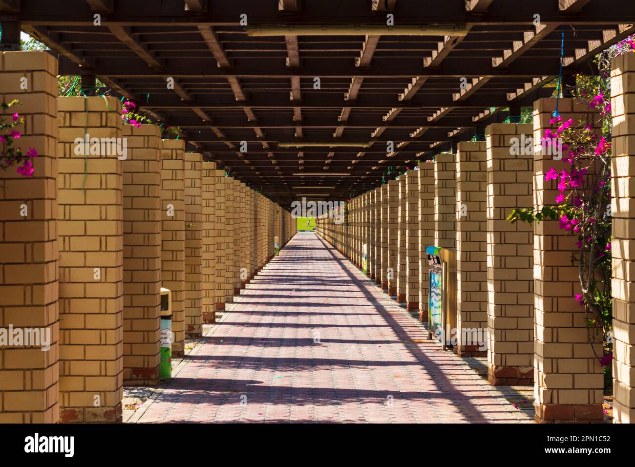 Concept shot of an outdoors alley in the park Stock Photo - Alamy
