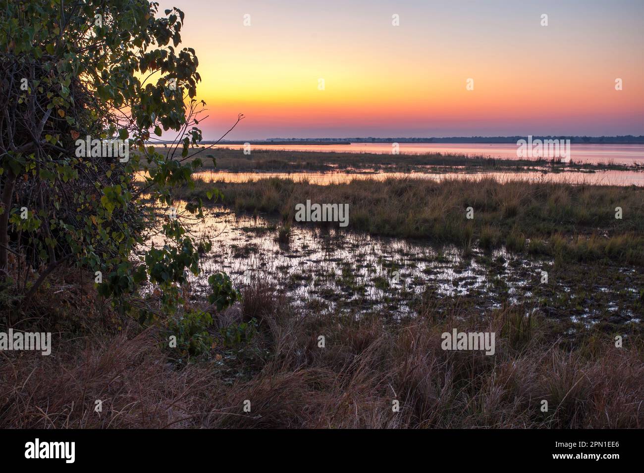 View of Zambezi River, Royal Zambezi Lodge, Zambia, Africa Stock Photo ...