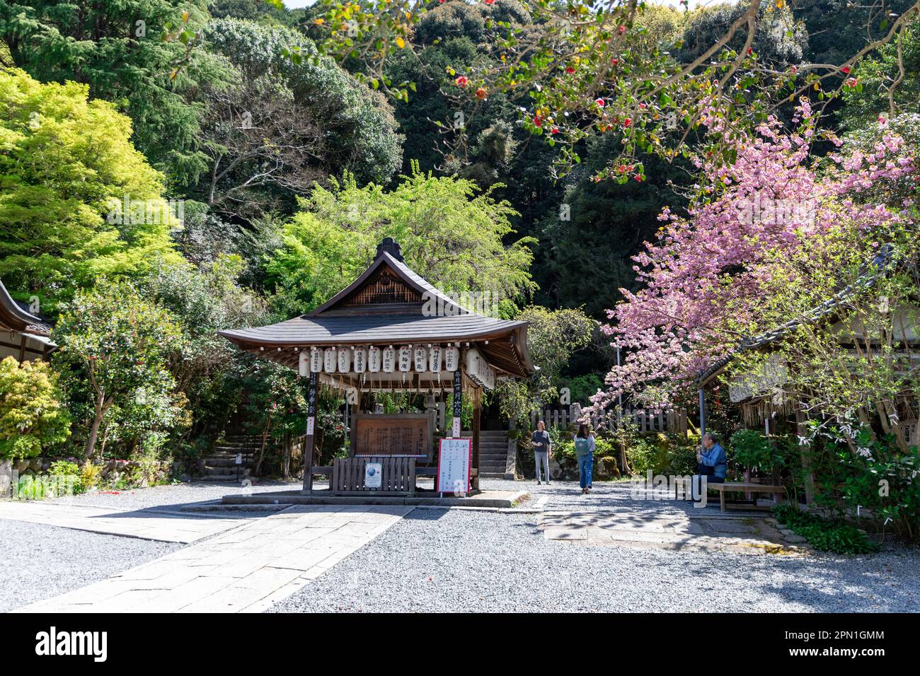 Kyoto Japan April 2023, Otoyo Jinja Shrine which has statues of mice ...