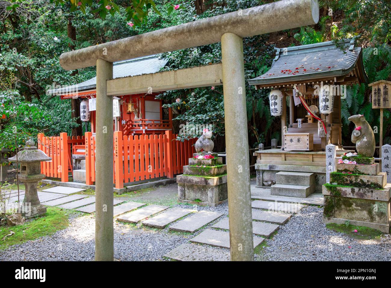 Kyoto Japan April 2023, Otoyo Jinja Shrine which has statues of mice ...