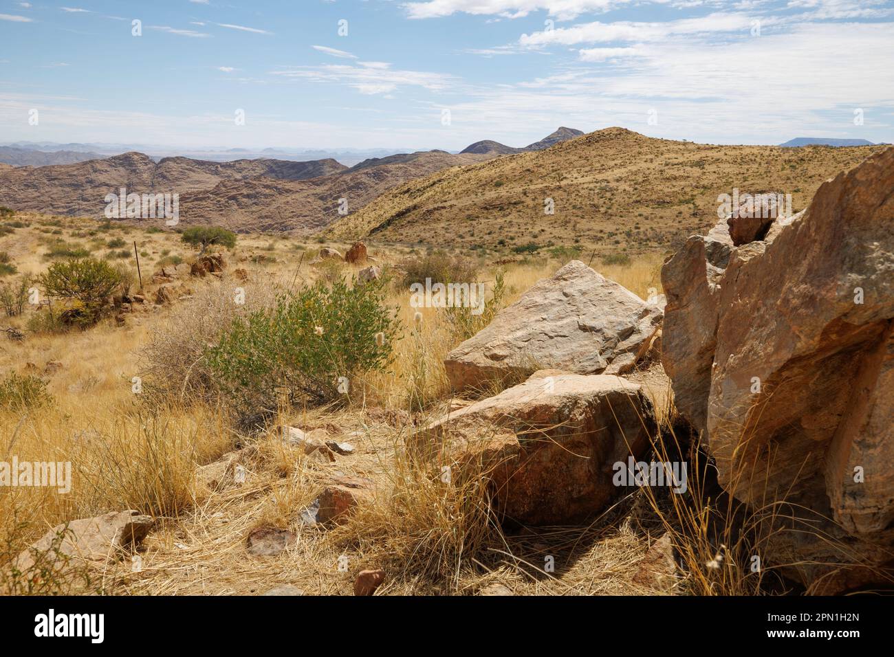 Namibian grasses hi-res stock photography and images - Alamy