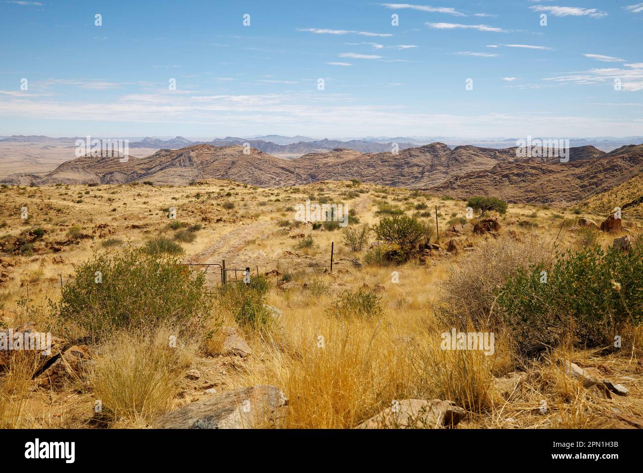 Open bushveld hi-res stock photography and images - Alamy