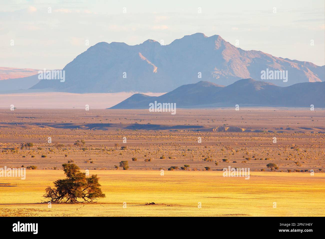 Endless space in Namibia - Landscape Stock Photo - Alamy