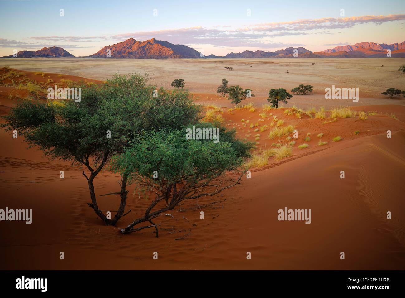 Serene landscape with sand dunes, Namibia Stock Photo - Alamy