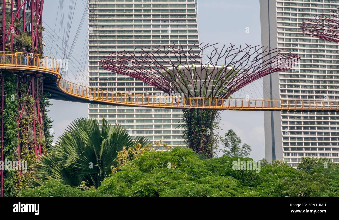 Super trees in a public park in Singapore Stock Photo - Alamy