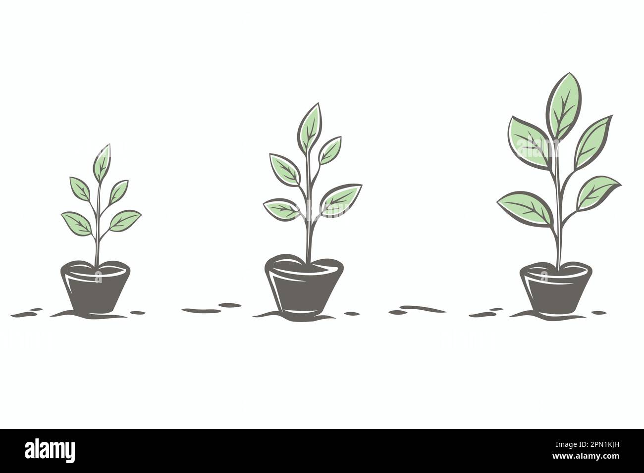 three plants growing in three pots minimalist vector illustration Stock ...