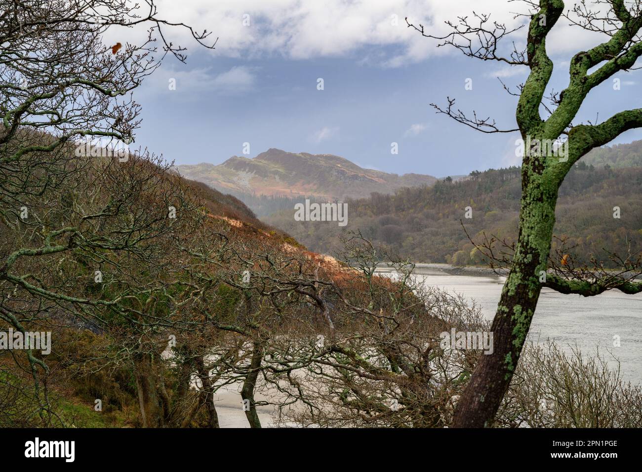 View through trees of a mountain in Snowdonia Stock Photo - Alamy