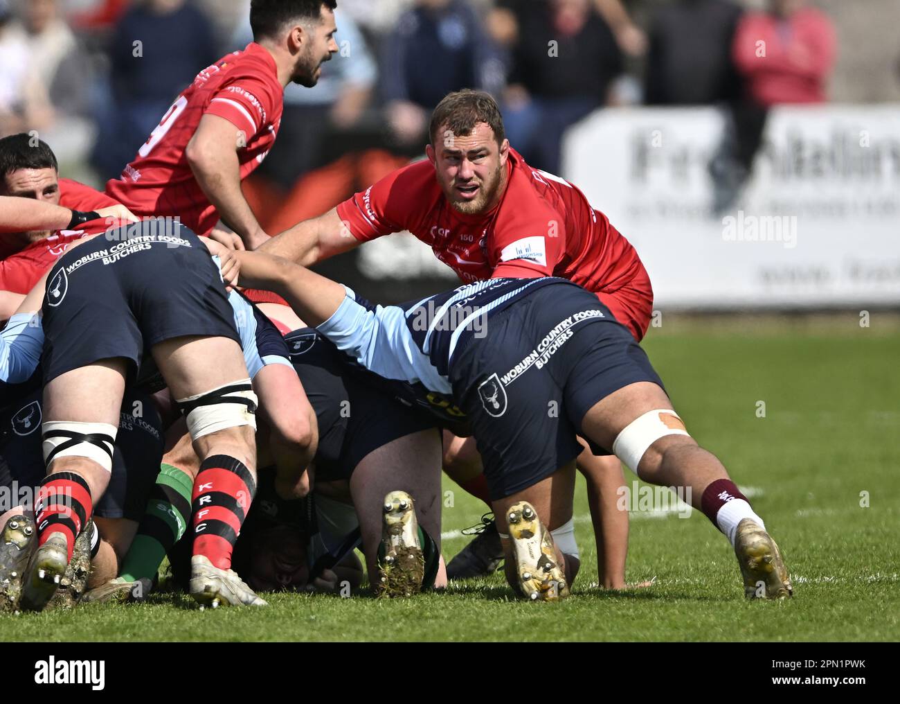 Bedford, United Kingdom. 15th Apr, 2023. RFU Championship Rugby ...
