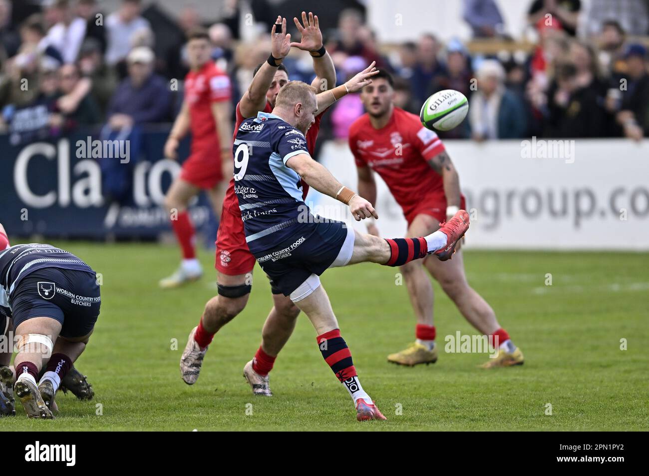 Bedford, United Kingdom. 15th Apr, 2023. RFU Championship Rugby ...
