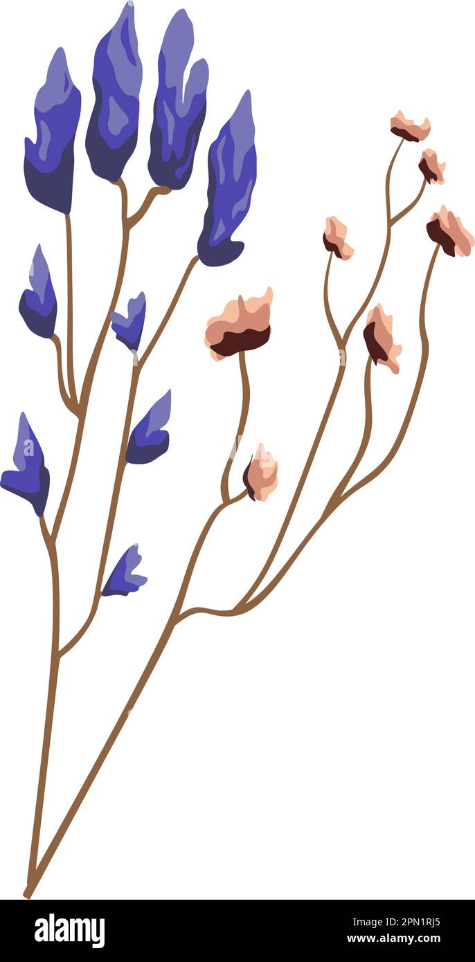 hand drawing a branch of tree Stock Vector Image & Art - Alamy