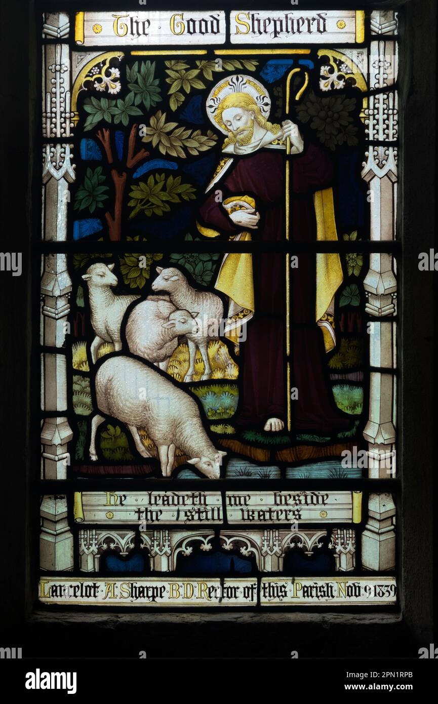 The Good Shepherd window detail, St. Nicholas Church, Tackley ...