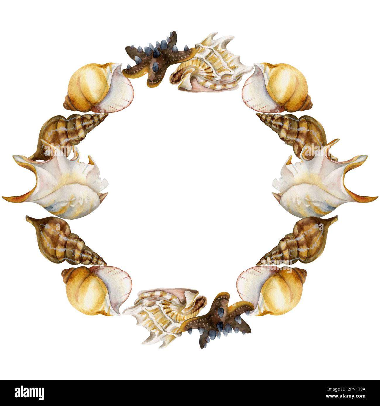 Hand drawn watercolor exotic sea shells and colorful glass, starfish ...