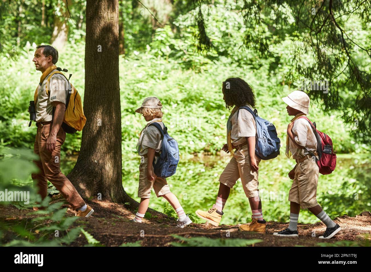 Side view at diverse group of scouts hiking in forest and walking in ...