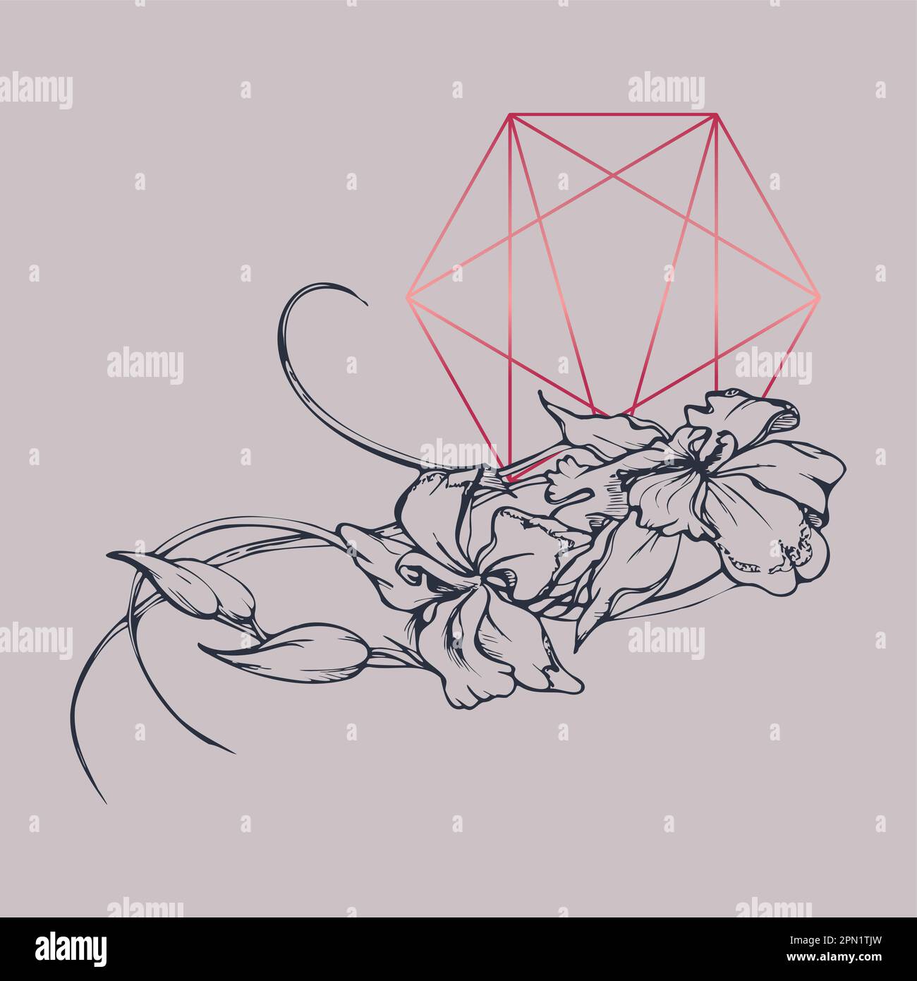 Hand drawn vector ink orchid flowers and branches, monochrome, detailed ...