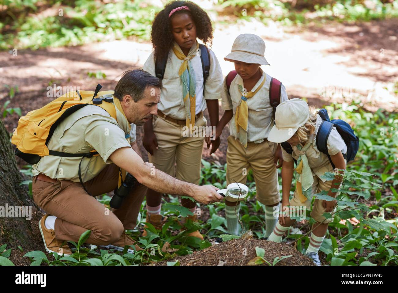 Diverse group of scouts inspecting anthill with magnifying glass while ...