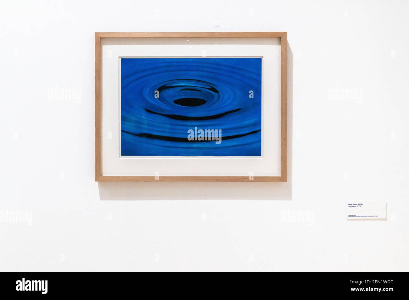 painting by the artist Serse Roma - "Acquatinta, 2000" in exhibition at ...