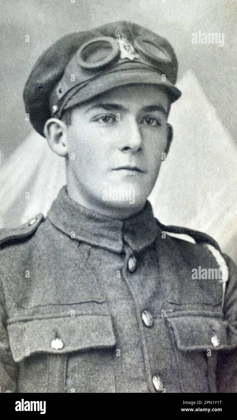 A driver in the Army Service Corps during the First World War Stock Photo - Alamy