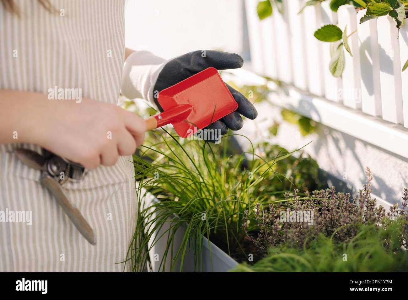 Side view of human hand hold red shovel. Using garden tools for landing ...
