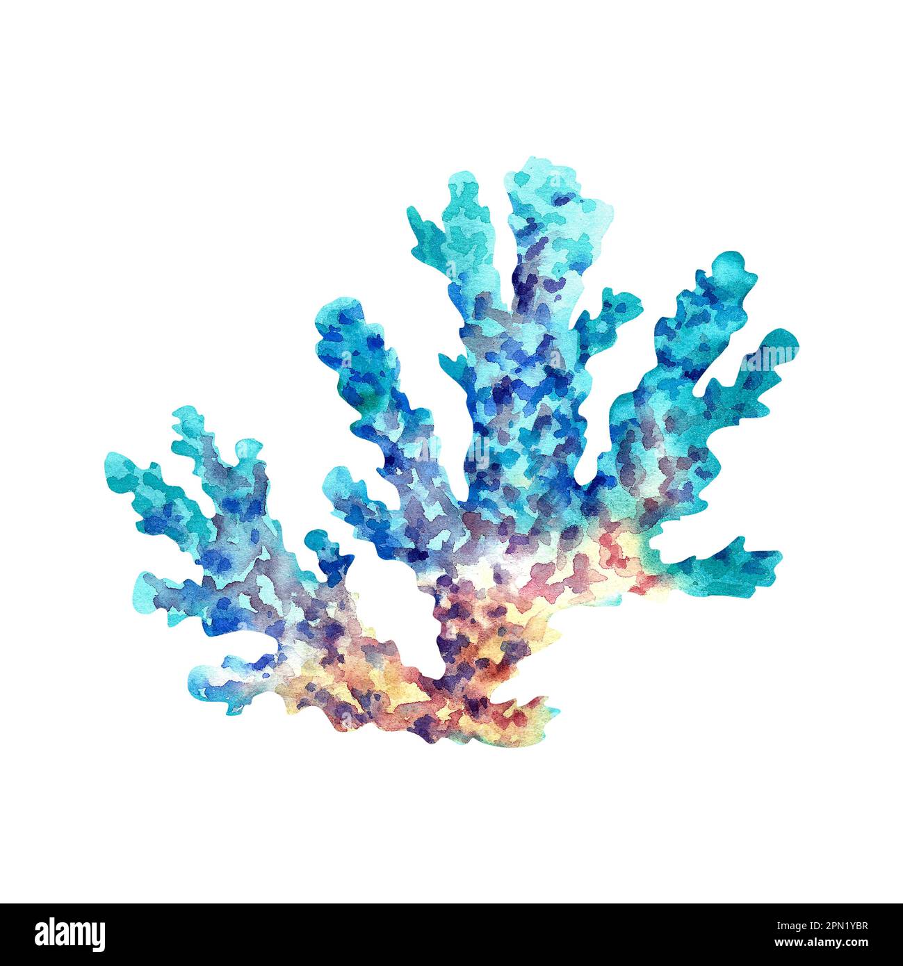 Coral Watercolor