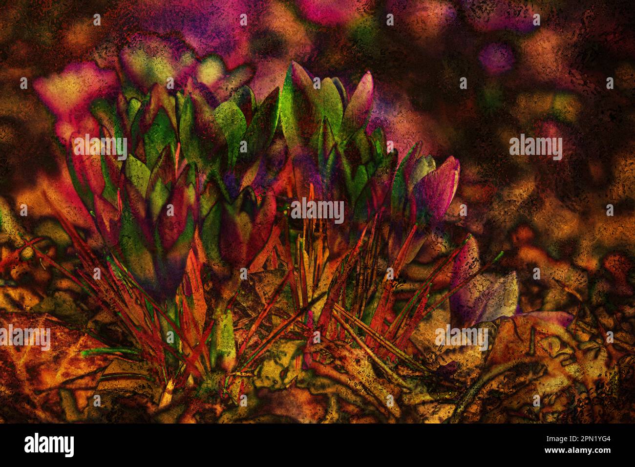 FLORA : SPRING WHISPERS Stock Photo - Alamy