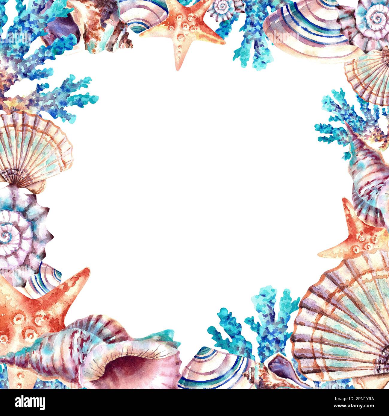 A frame made of marine animals. Shells, corals. Watercolor illustration ...