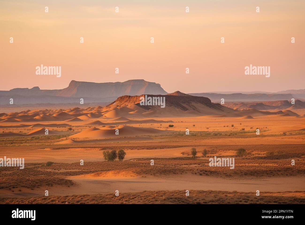 A scenic vista of a barren desert landscape, featuring a few scattered ...