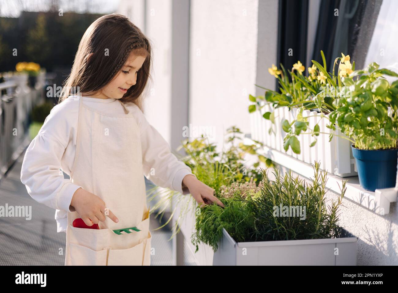 Four year old girl in bright overall stand by flowerpot and preparing ...