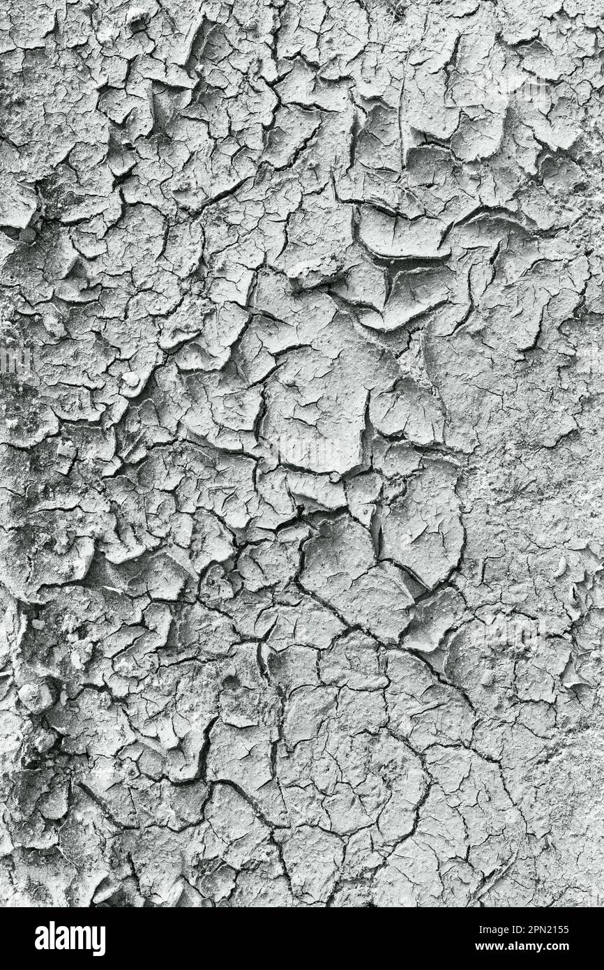 Cracked Soil, Barren Wasteland Surface. Natural Background, Texture Of ...
