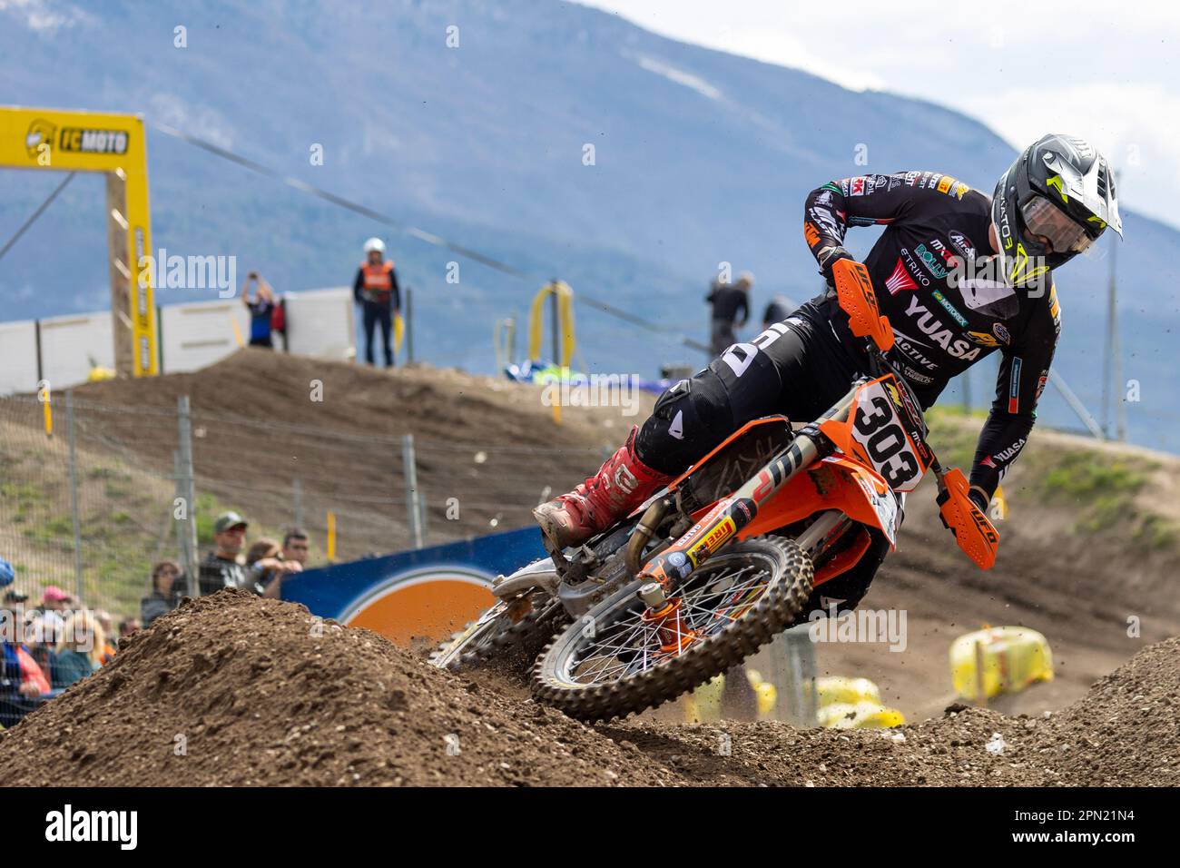 Forato alberto hi-res stock photography and images - Alamy