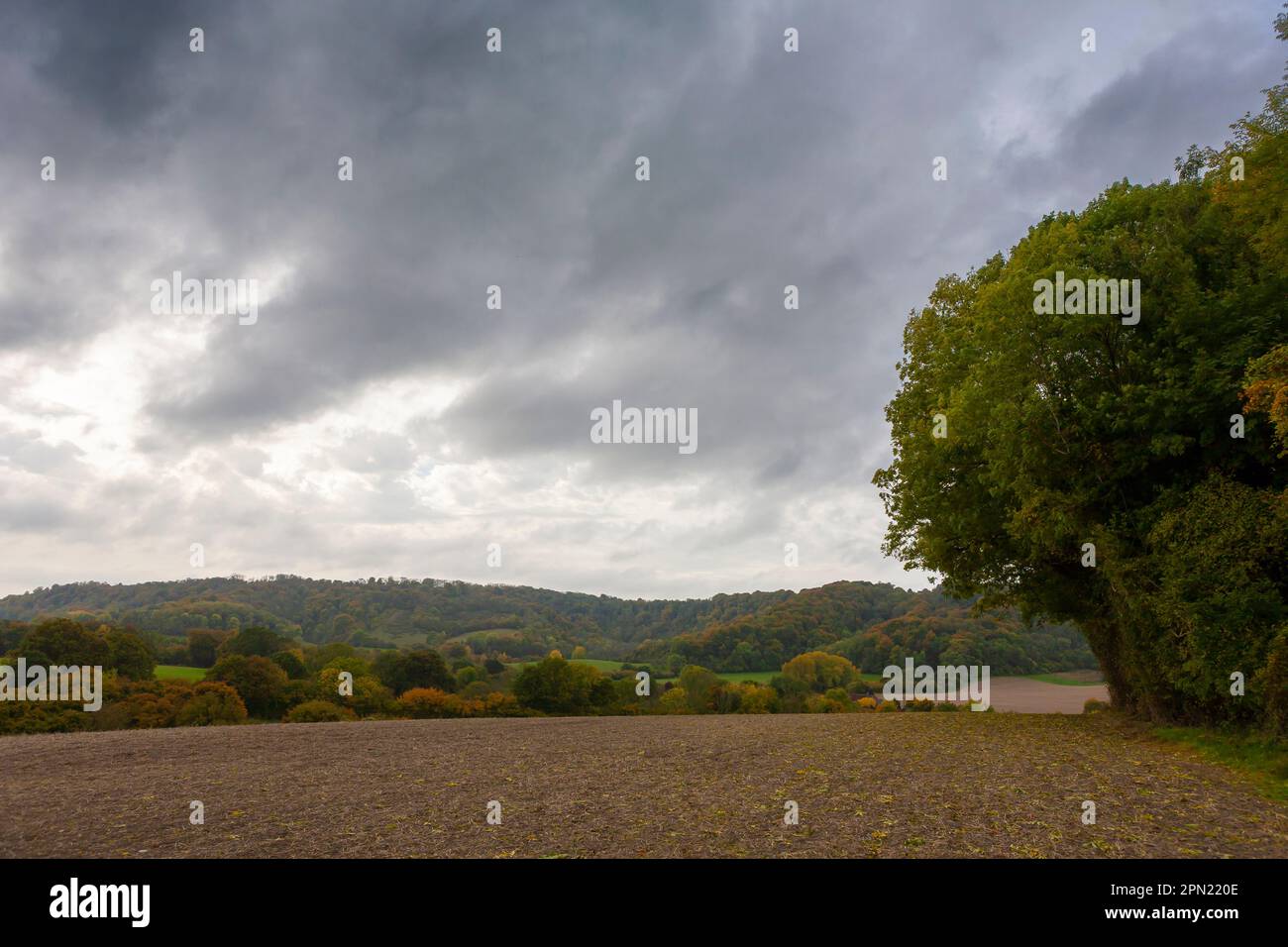 Hawkley hanger hi-res stock photography and images - Alamy
