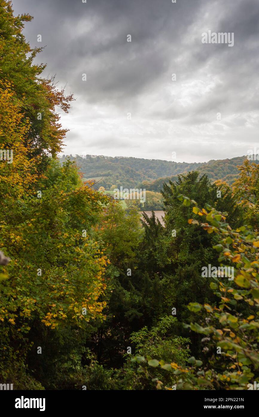 "Hangers Country": distant view of Roundhills Hanger from Hawkley ...
