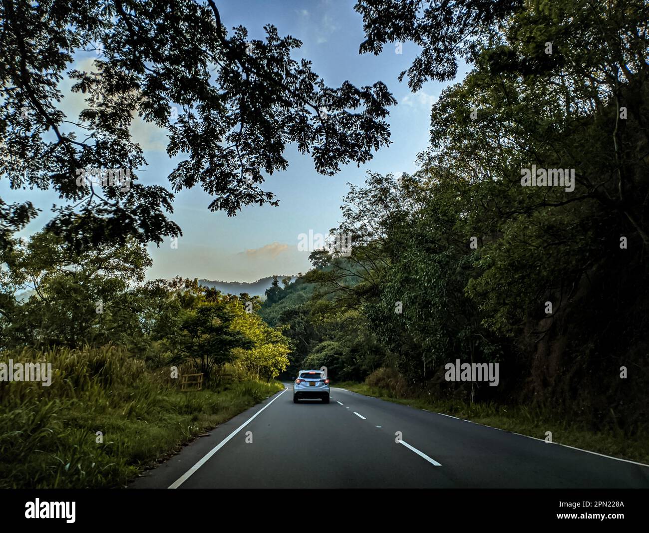 A white sedan car driving down a winding road through a lush green ...