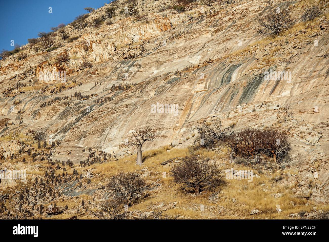 A smooth, white marble whaleback mountain Stock Photo - Alamy