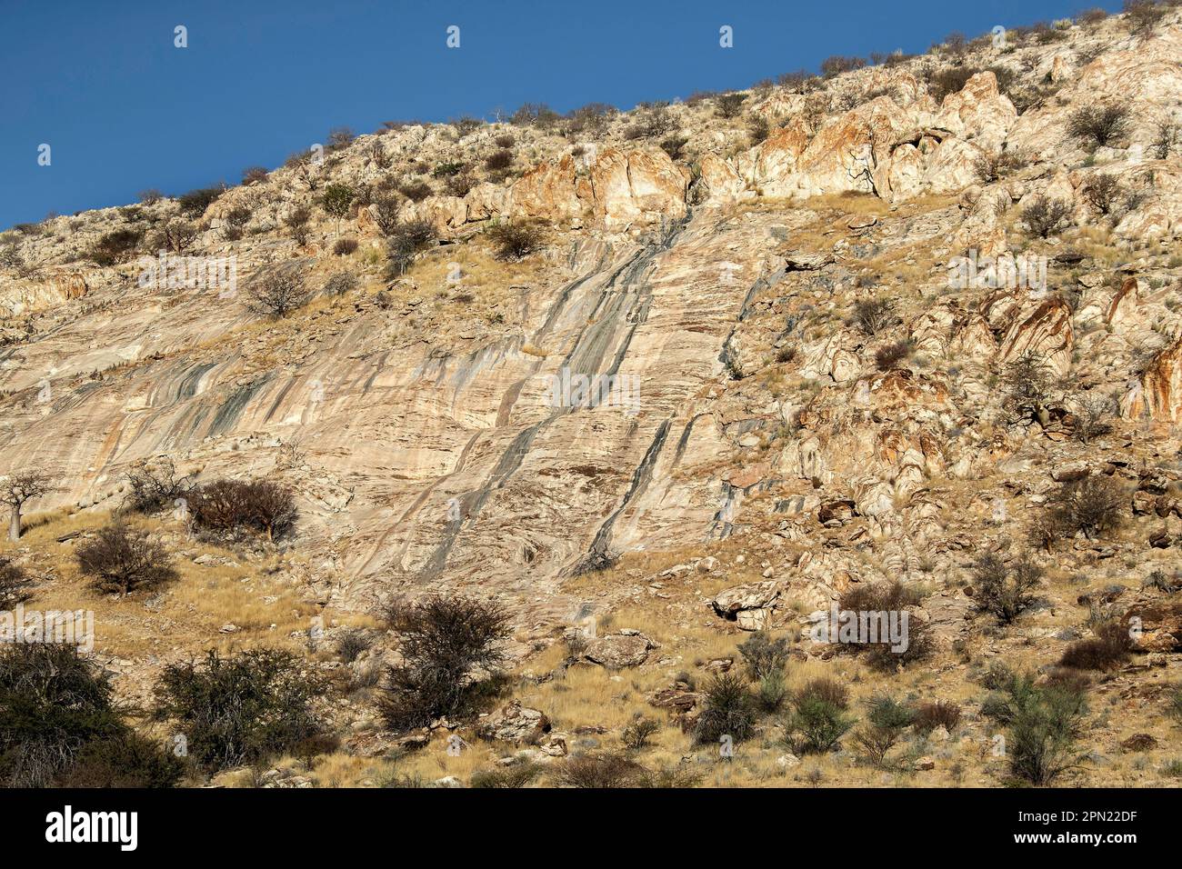 A smooth, white marble whaleback mountain Stock Photo - Alamy