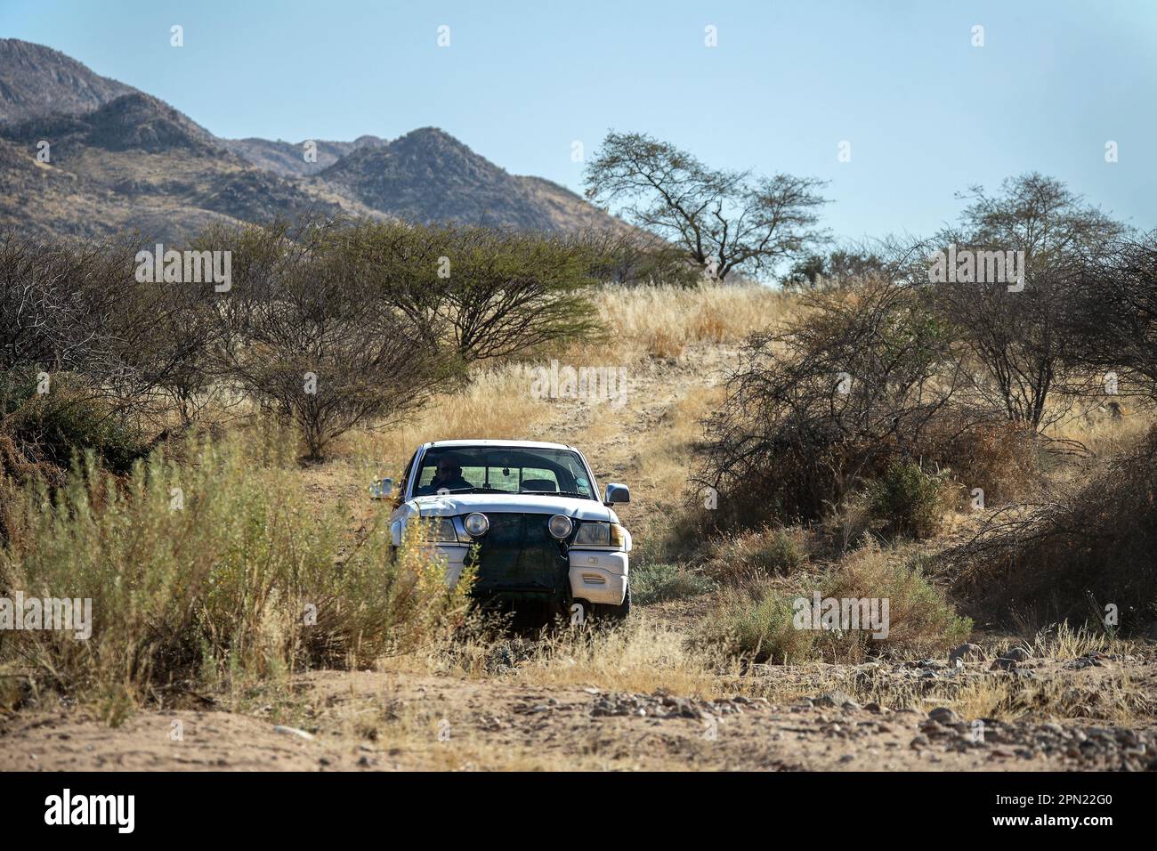 Driving through a Donga in the Namibian Bush with the radiator covered ...