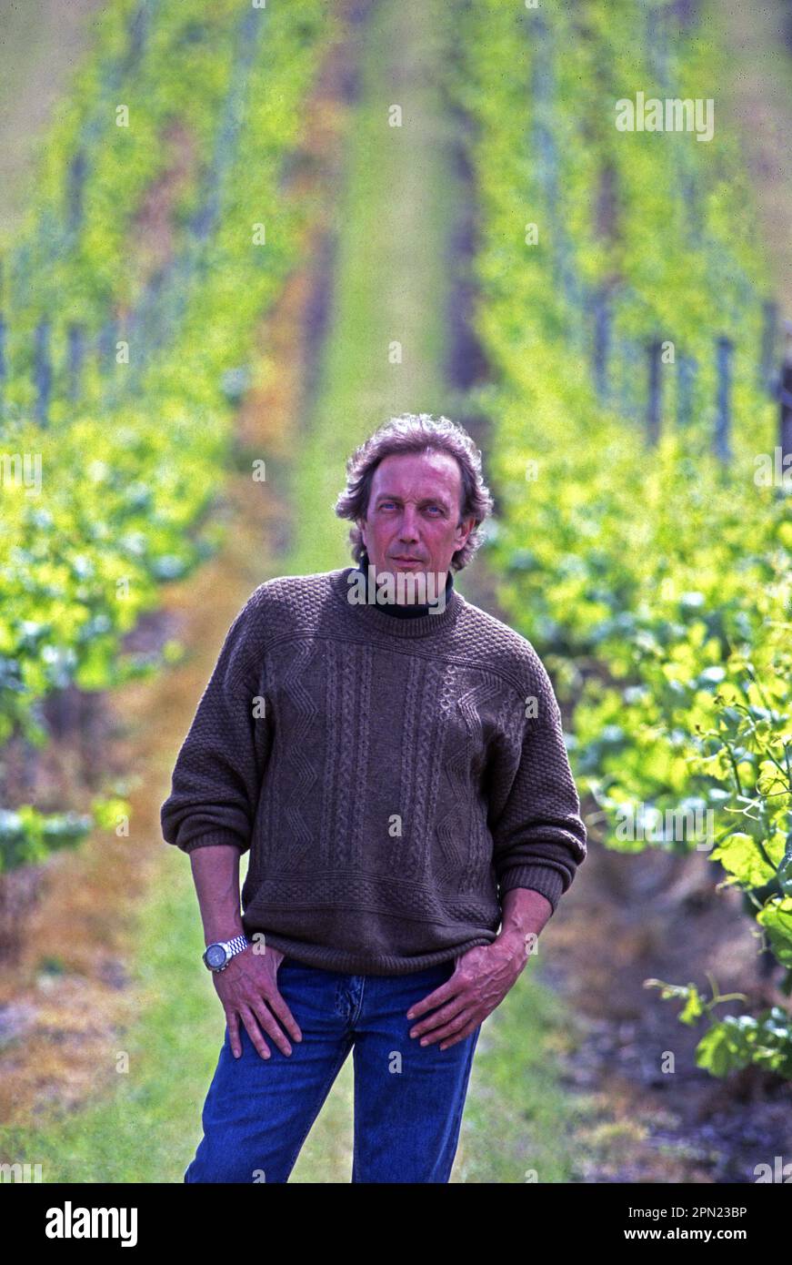 Good looking mature man standing in a casual relaxed pose between the ...