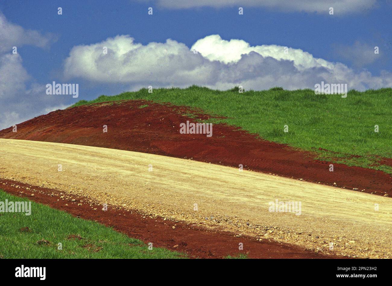 An uncomplicated, graphic pattern of colour contrasting a new, crushed ...