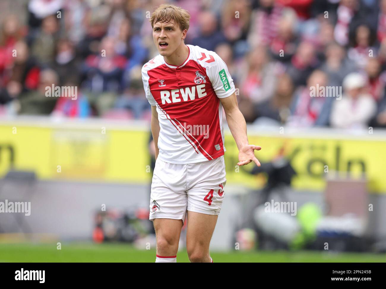 Cologne, Deutschland. 15th Apr, 2023. firo : 04/15/2023, football, soccer, 1.Bundesliga: 1.FC ...