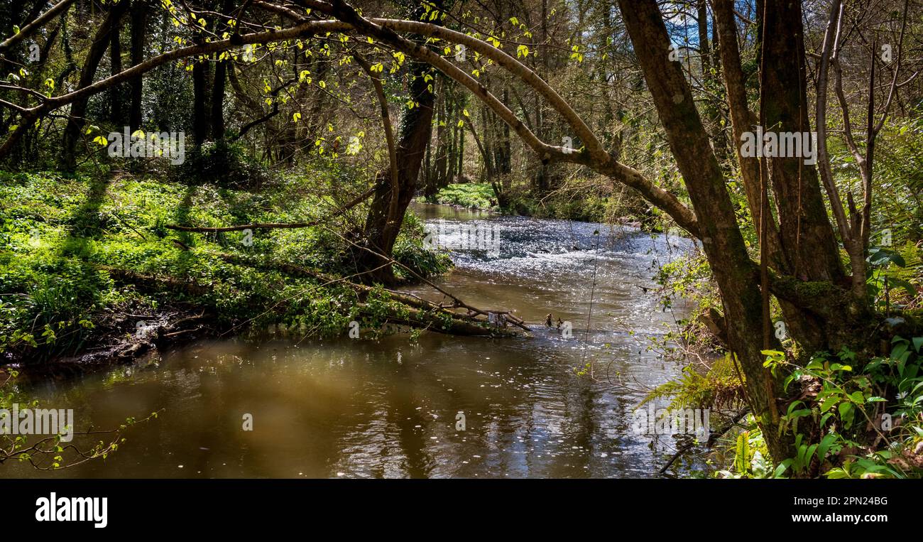 The Knapp and Papermill, Leigh Brook, Worcestershire, UK Stock Photo ...