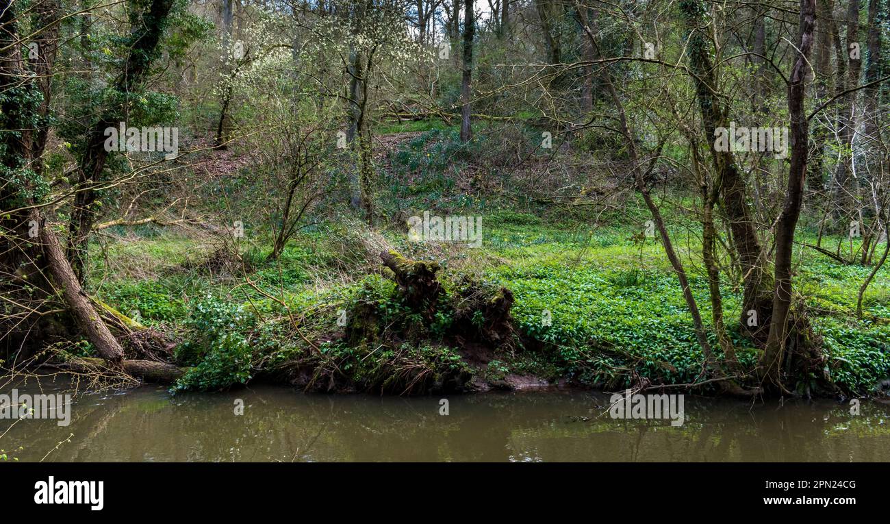 The Knapp and Papermill, Leigh Brook, Worcestershire, UK Stock Photo ...