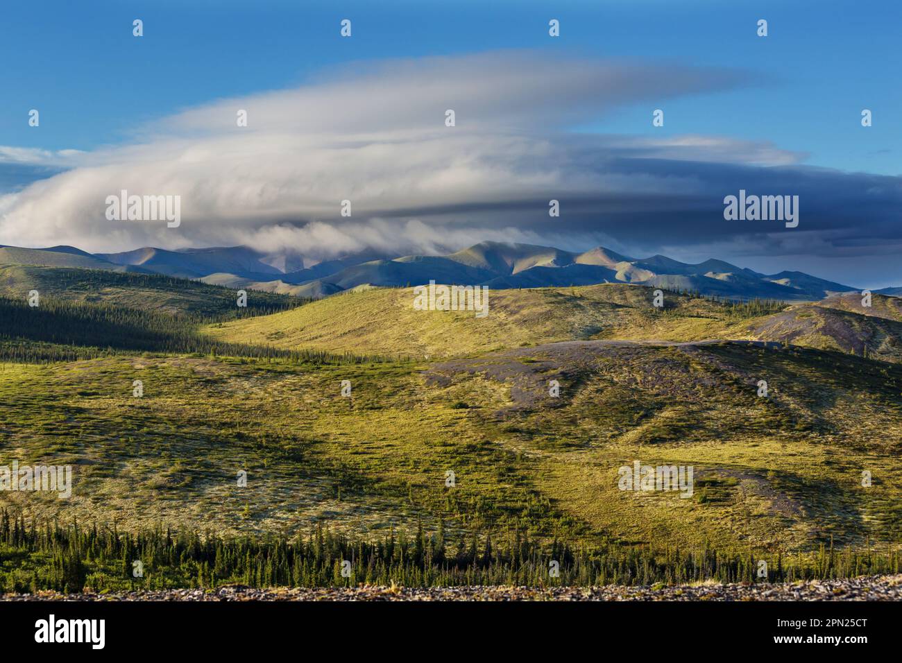 Tundra landscapes above Arctic circle Stock Photo - Alamy
