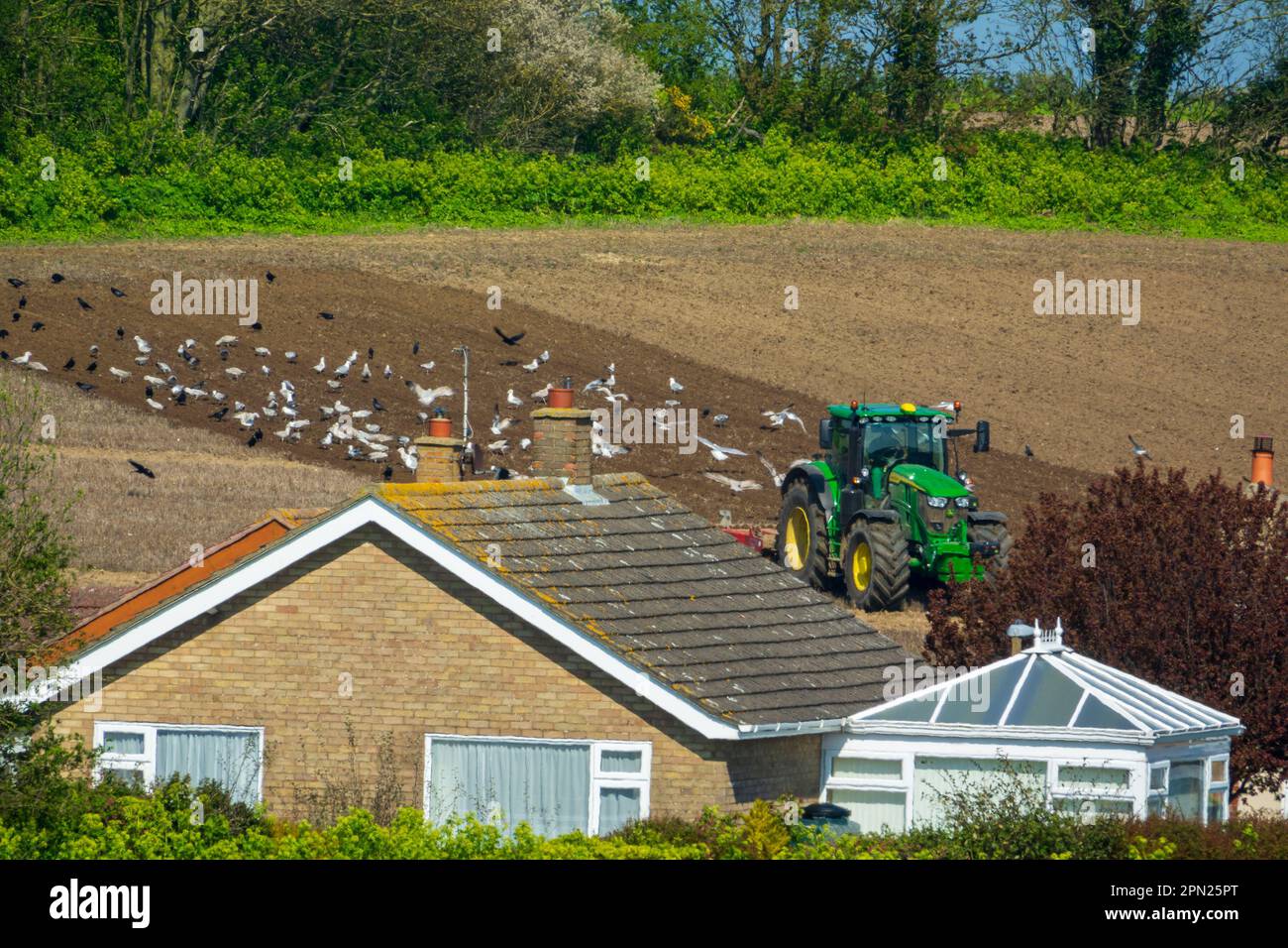 Farm field, ploughing, bungalow Stock Photo - Alamy
