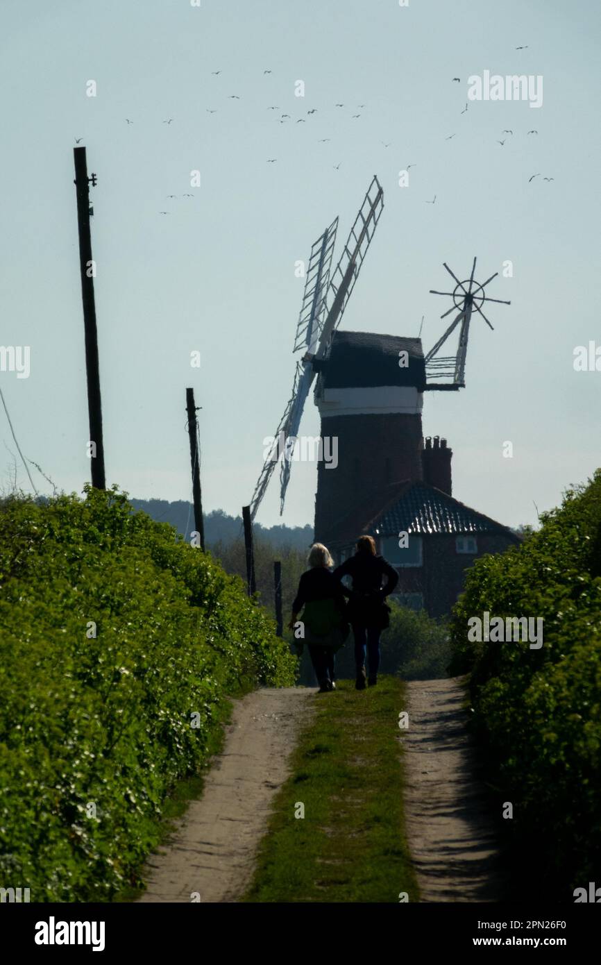 Walkers Norfolk Windmill Stock Photo - Alamy