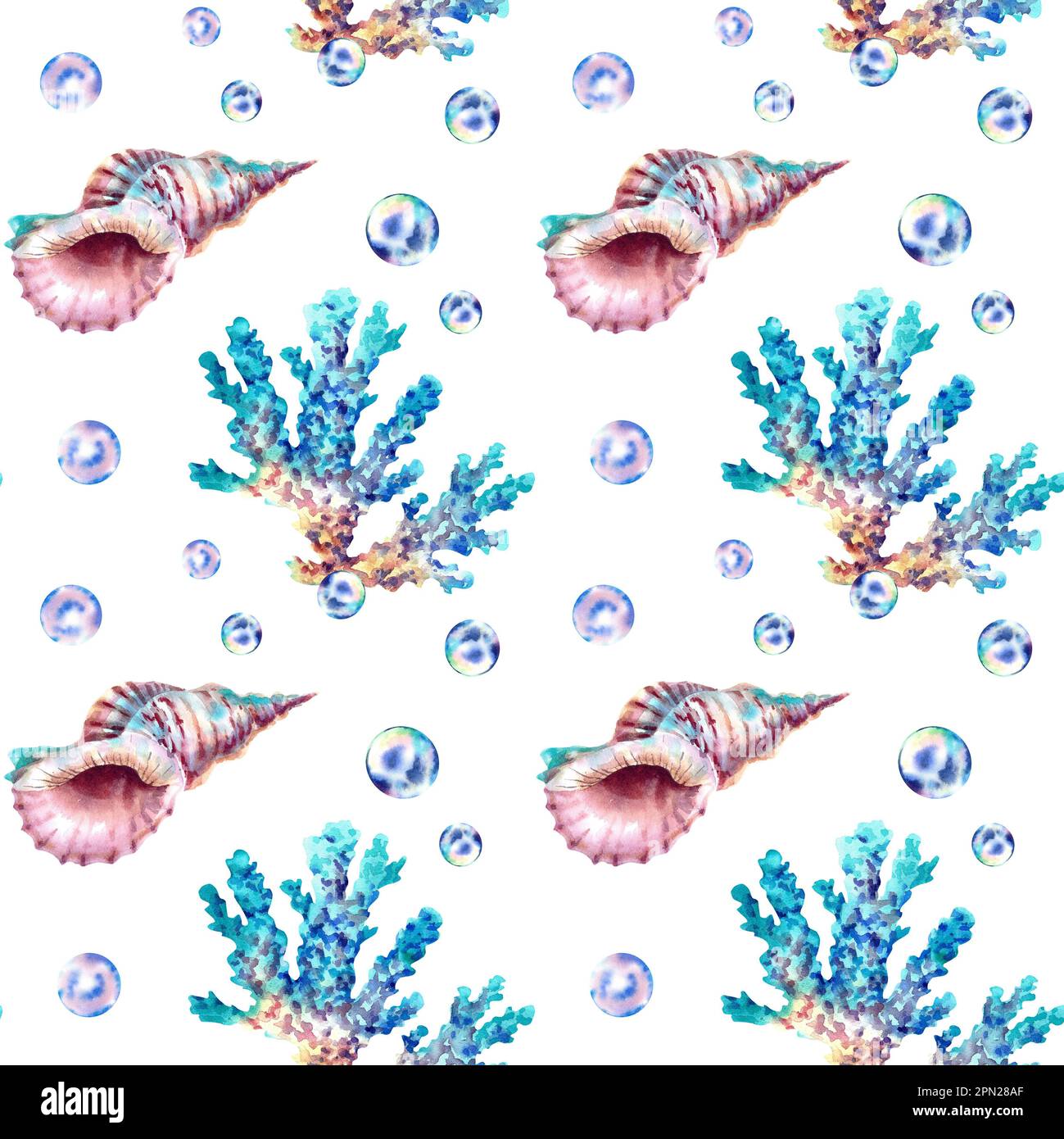 White bubble shells hi-res stock photography and images - Alamy